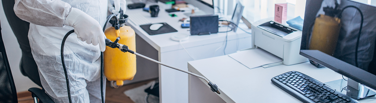 Pest control | Bespoke Cleaning